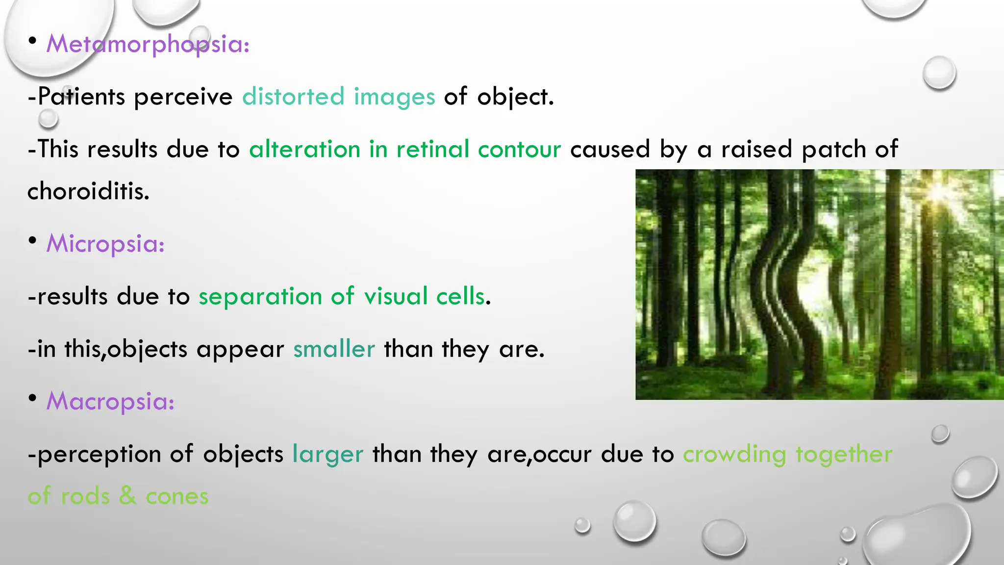 uveitis of the anterior segment and posterior segment | PPTX