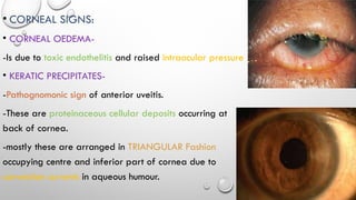 uveitis of the anterior segment and posterior segment | PPTX