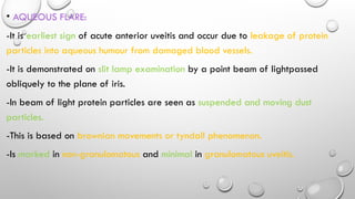 uveitis of the anterior segment and posterior segment | PPTX