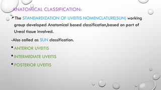 uveitis of the anterior segment and posterior segment | PPTX