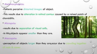 uveitis of the anterior segment and posterior segment | PPTX