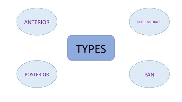 UVEITIS exam reference notes important.pptx