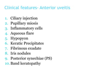 Uveitis | PPTX