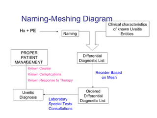 Uveitis Diagnosis.ppt