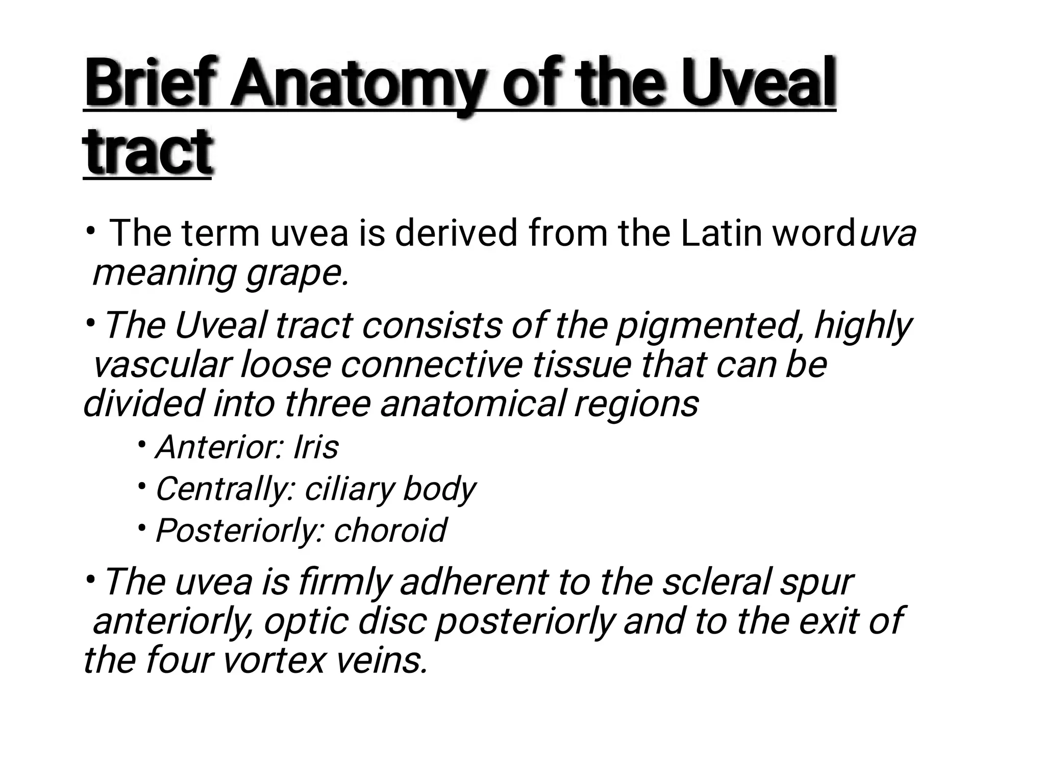 UVEITIS-kdamuda.pdf