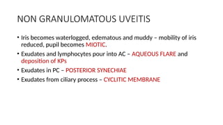 ANTERIOR, INTERMEDIATE AND POSTERIOR UVEITIS AND MANAGEMENT 1.pptx