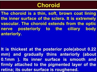 Uveitis 2lectures by dr. khaled | PPT