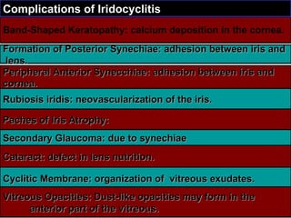Uveitis 2lectures by dr. khaled | PPT