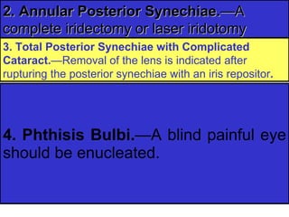 Uveitis 2lectures by dr. khaled | PPT