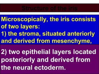 Uveitis 2lectures by dr. khaled | PPT