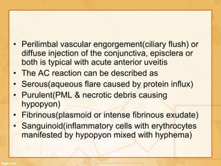 Uveitis classification & clinical features 1 | PPTX