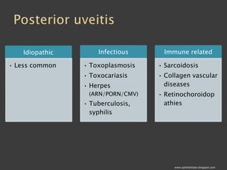 Common Causes of Uveitis Part2 | PPTX