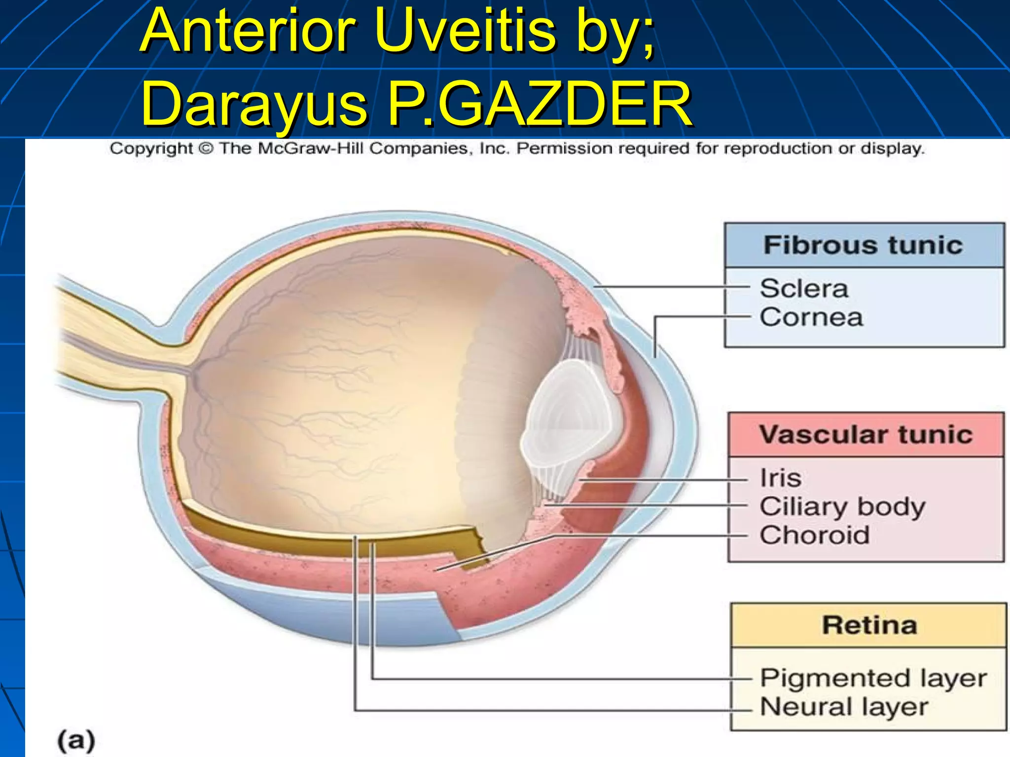 Uveitis Eye presentation- Darayus | PPT