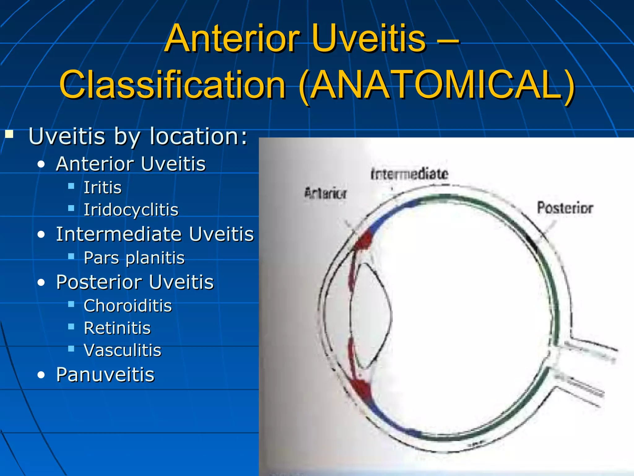 Uveitis Eye presentation- Darayus | PPT