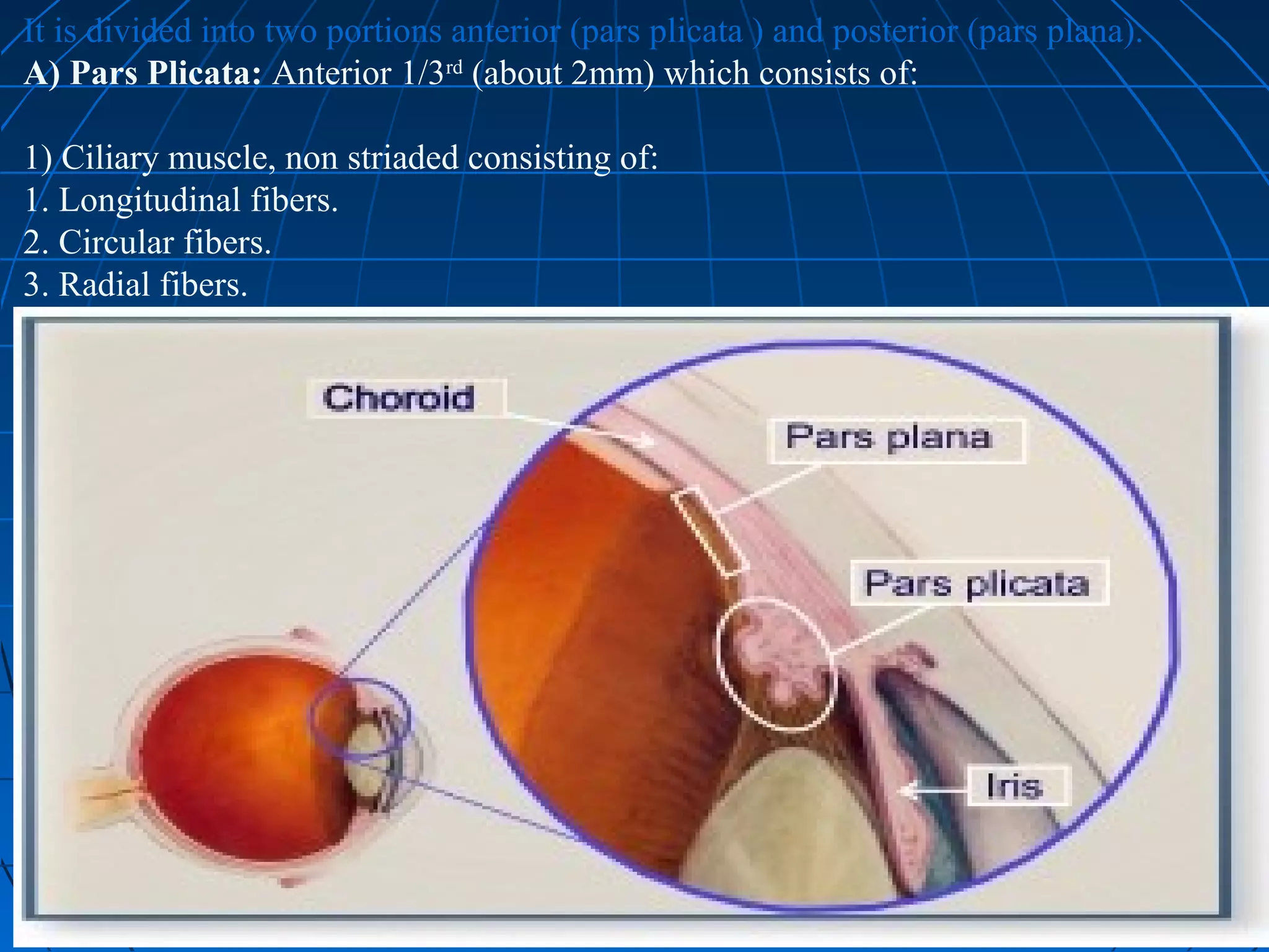 Uveitis Eye presentation- Darayus | PPT