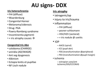 Uveitis: Notes | PPTX