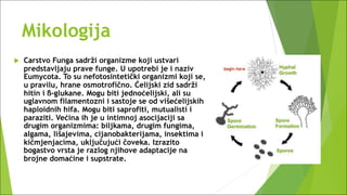 Uvod u mikologiju.pdf