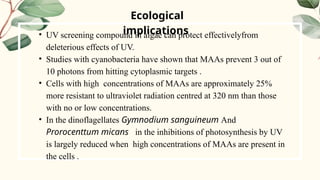 UV RADIATION ABSORPTION By ALGAE_20241014_115105_0000.pptx