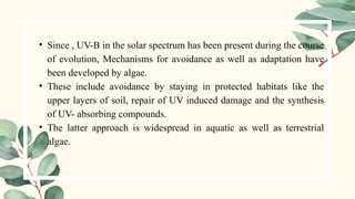UV RADIATION ABSORPTION By ALGAE_20241014_115105_0000.pptx