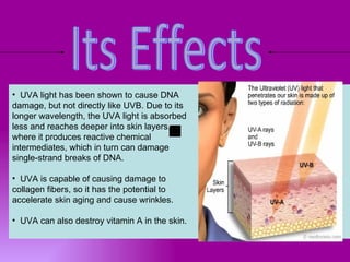 UV rays | PPT