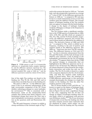UV resonance raman study of streptavidin binding of biotin and 2 ...