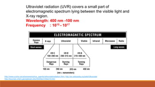 UVR_ Physiotherapy_2023.ppt
