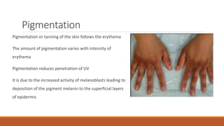 UVR Presentation.pptx