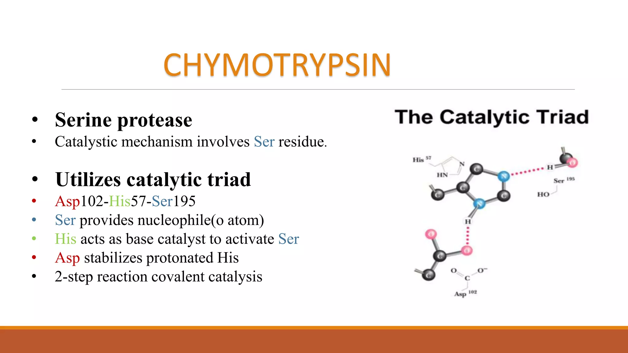 Mechanism of enzyme action | PPTX