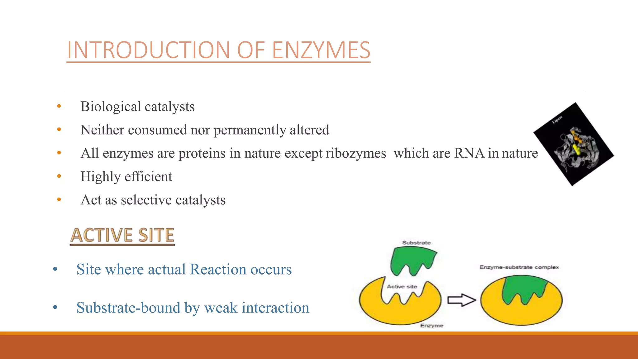 Mechanism of enzyme action | PPTX