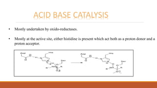 Mechanism of enzyme action | PPTX