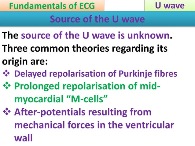 Approach to a patient with U wave in ECG | PPSX | Heart and ...
