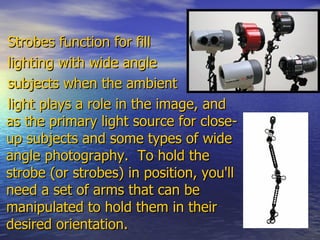 Uwphoto Week3y Basic Rules | PPT