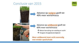 Uw sportveld renoveren !? | PPT