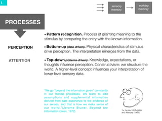Ux lady-human-information-processing | PPT