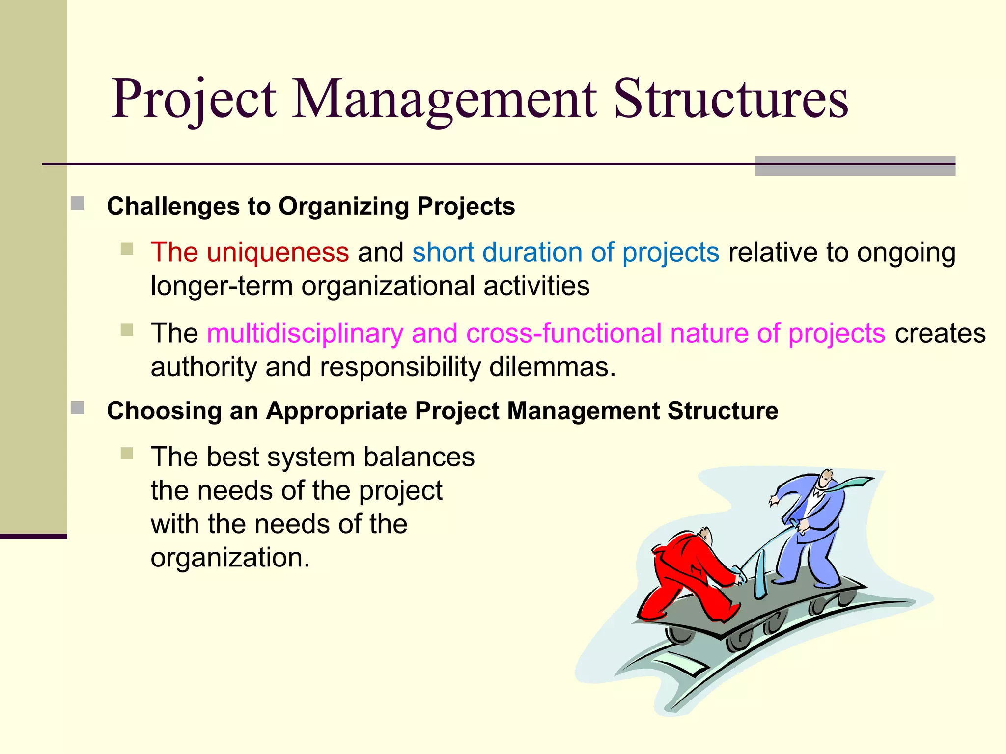 Project management structures | PPT
