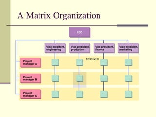 Project management structures | PPT