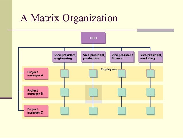 Project management structures