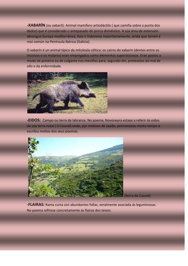 Uxío novoneyra: cousos do lobo | DOCX