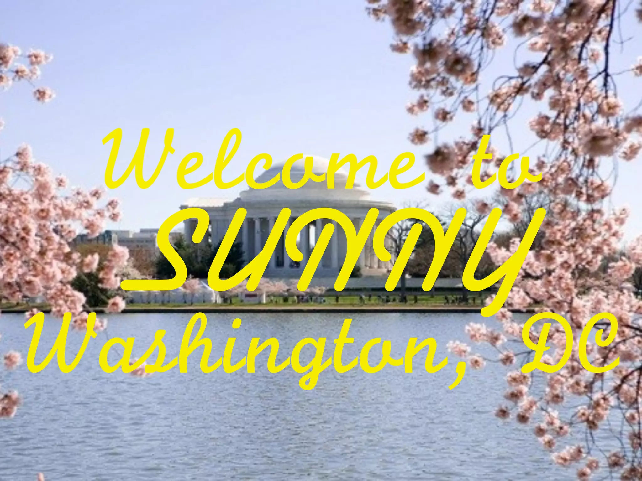 Implementing Lean UX: The Practical Guide to Lean User Experience | PPT