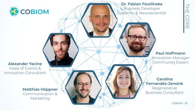 UX Research & Platform Ecosystem Design - Archetypes in Sustainability ...