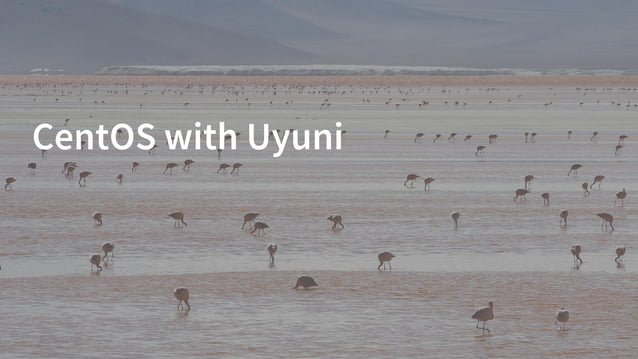 Uyuni - Introduction and how to manage CentOS | PDF