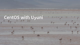 Uyuni: Introduction & how to do systems management | PDF
