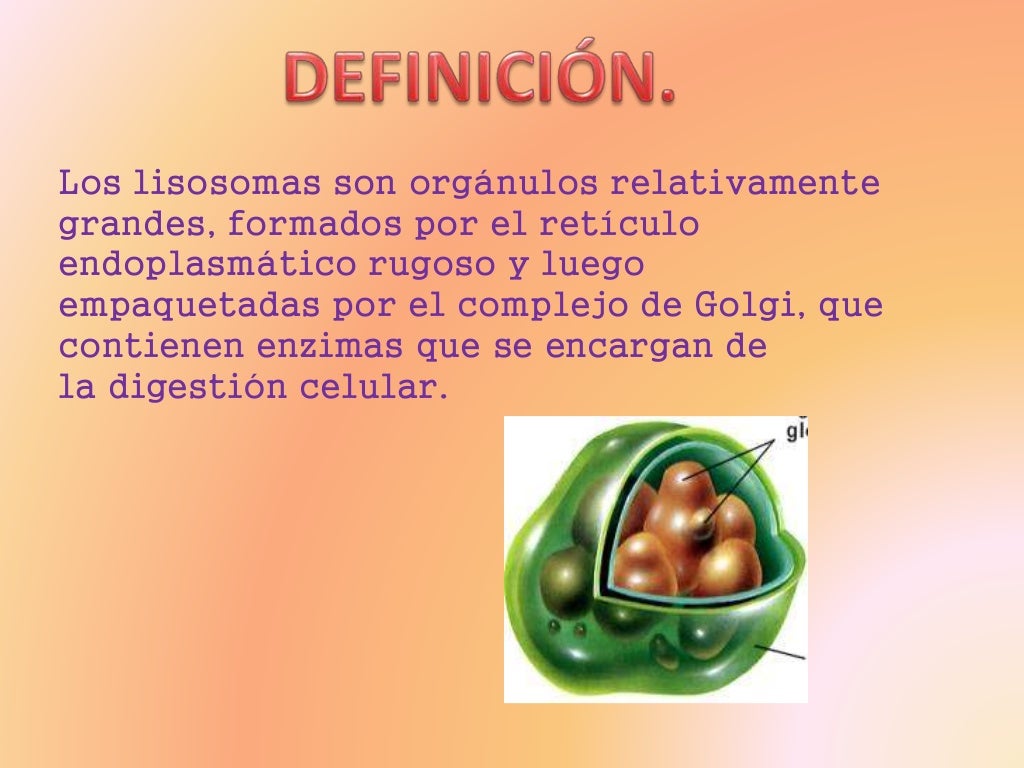 Lisosomas