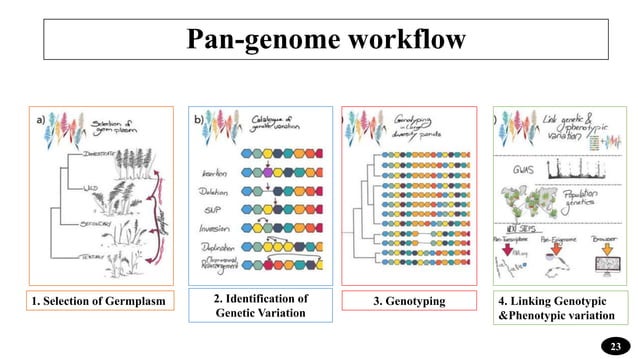 Pangenomics.pptx