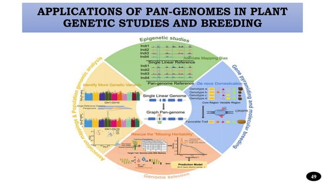 Pangenomics.pptx
