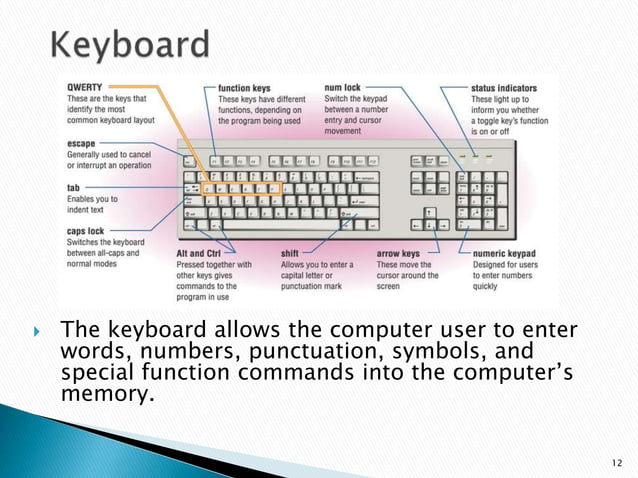 chapter6,Input and Hardware,Basic Information Technology | PPT