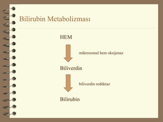 Uzamis sarilik | PPT
