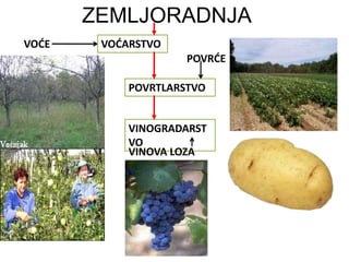 UZGOJ I ZAŠTITA BILJAKA.ppt