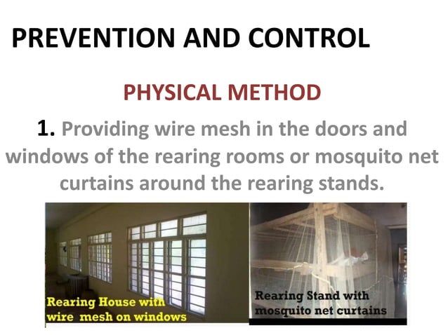 UZI_FLY Disease of Sericulture (P.K).pptx