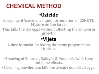 UZI_FLY Disease of Sericulture (P.K).pptx
